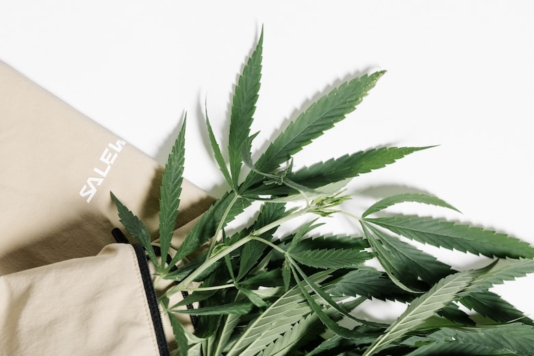 Salewa - ALPINE HEMP - RESILIENT BY NATURE